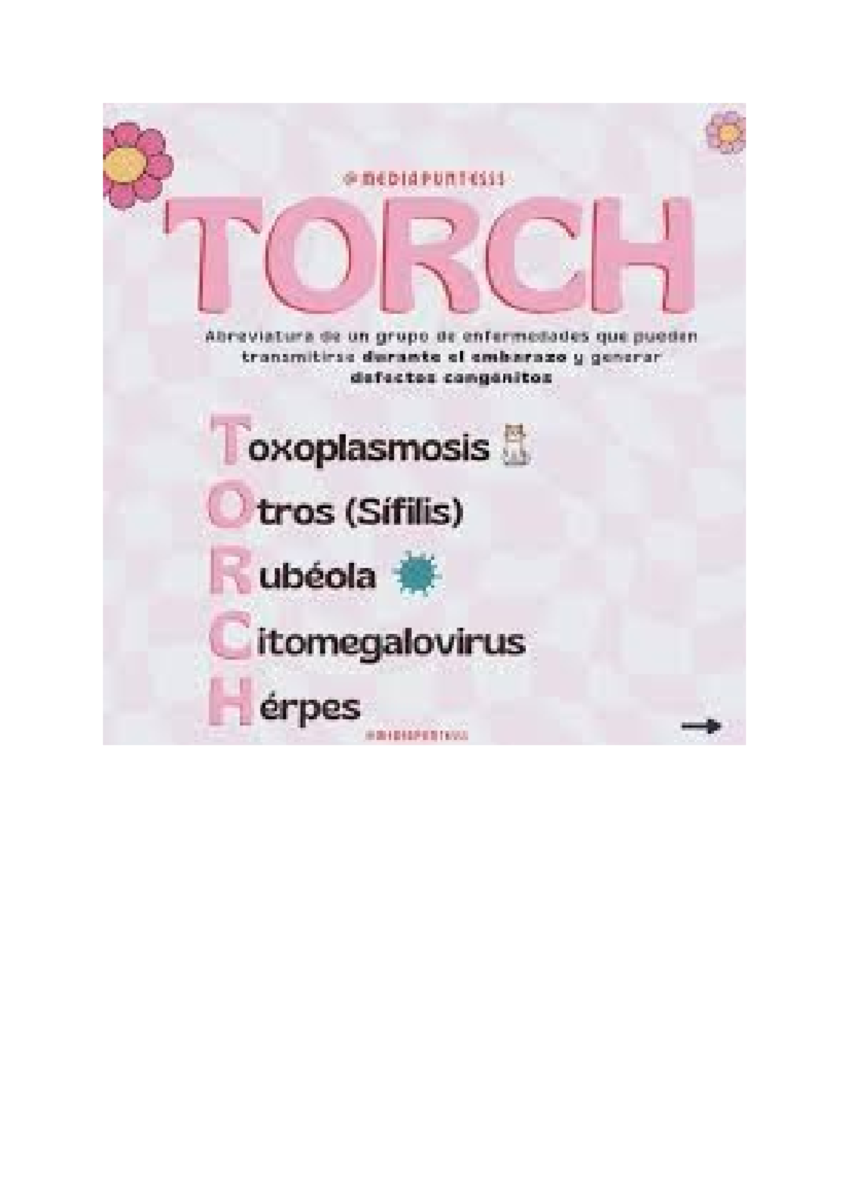 Torch - Enfermeria basica - TORCH Abreviatura de un grupo de ...