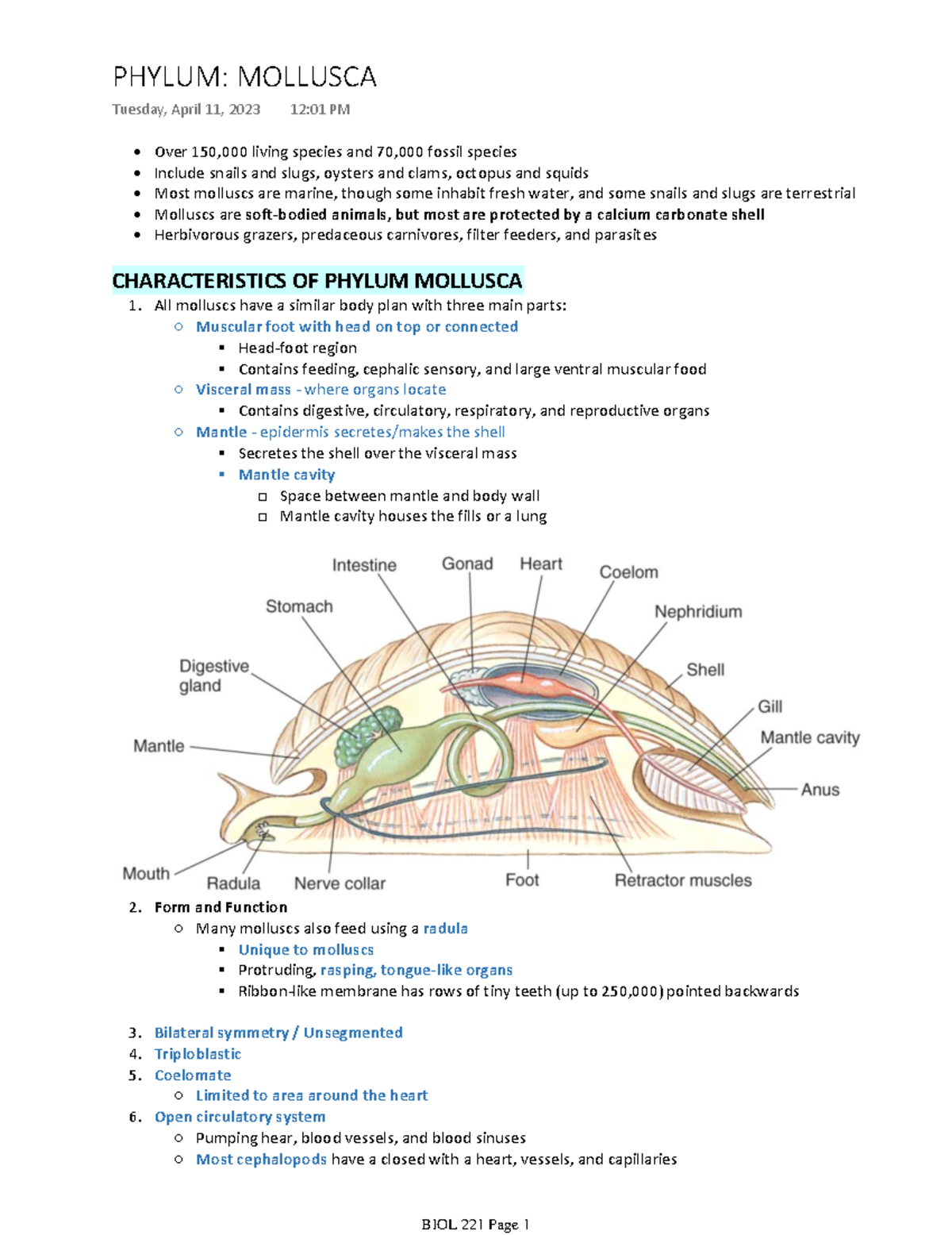 Phylum Mollusca - Over 150,000 living species and 70,000 fossil species ...