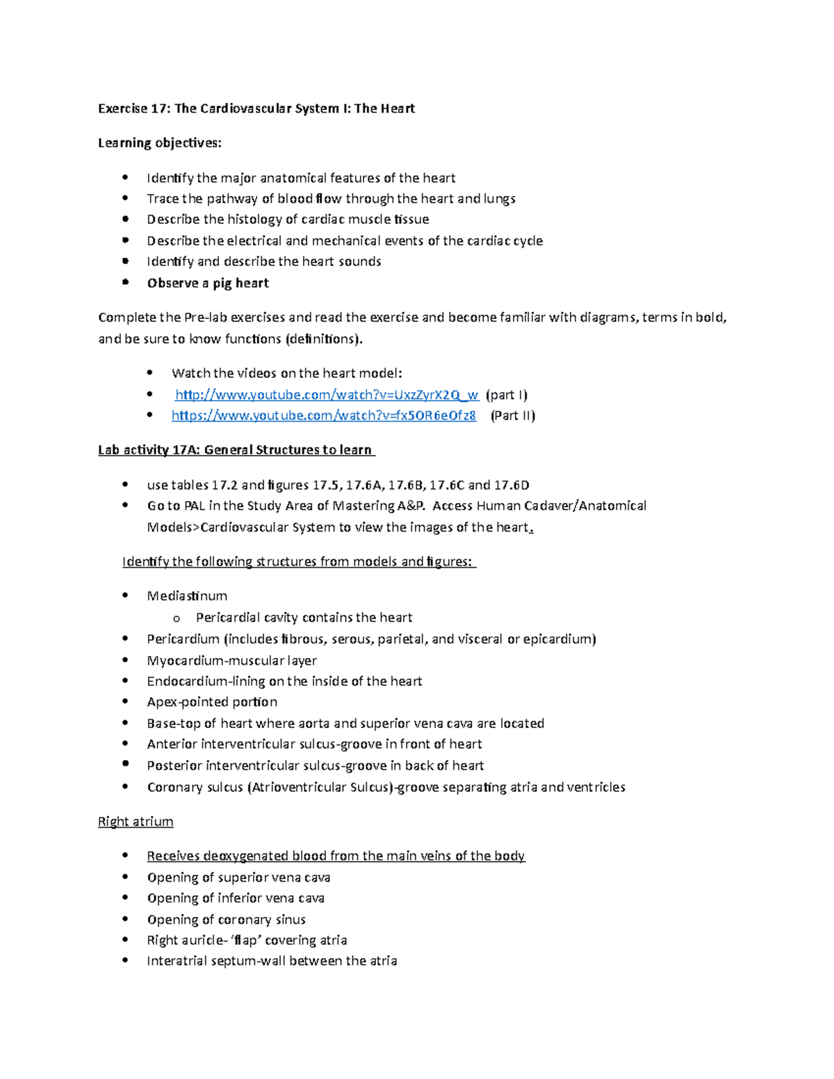 Exercise 17 - Anatomy of the Heart: Study Guide for 2022 Lab - Studocu