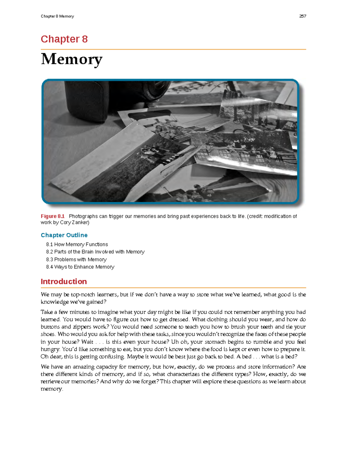Chapter 8: Memory - Functions, Errors, and Enhancement Strategies (PSY ...