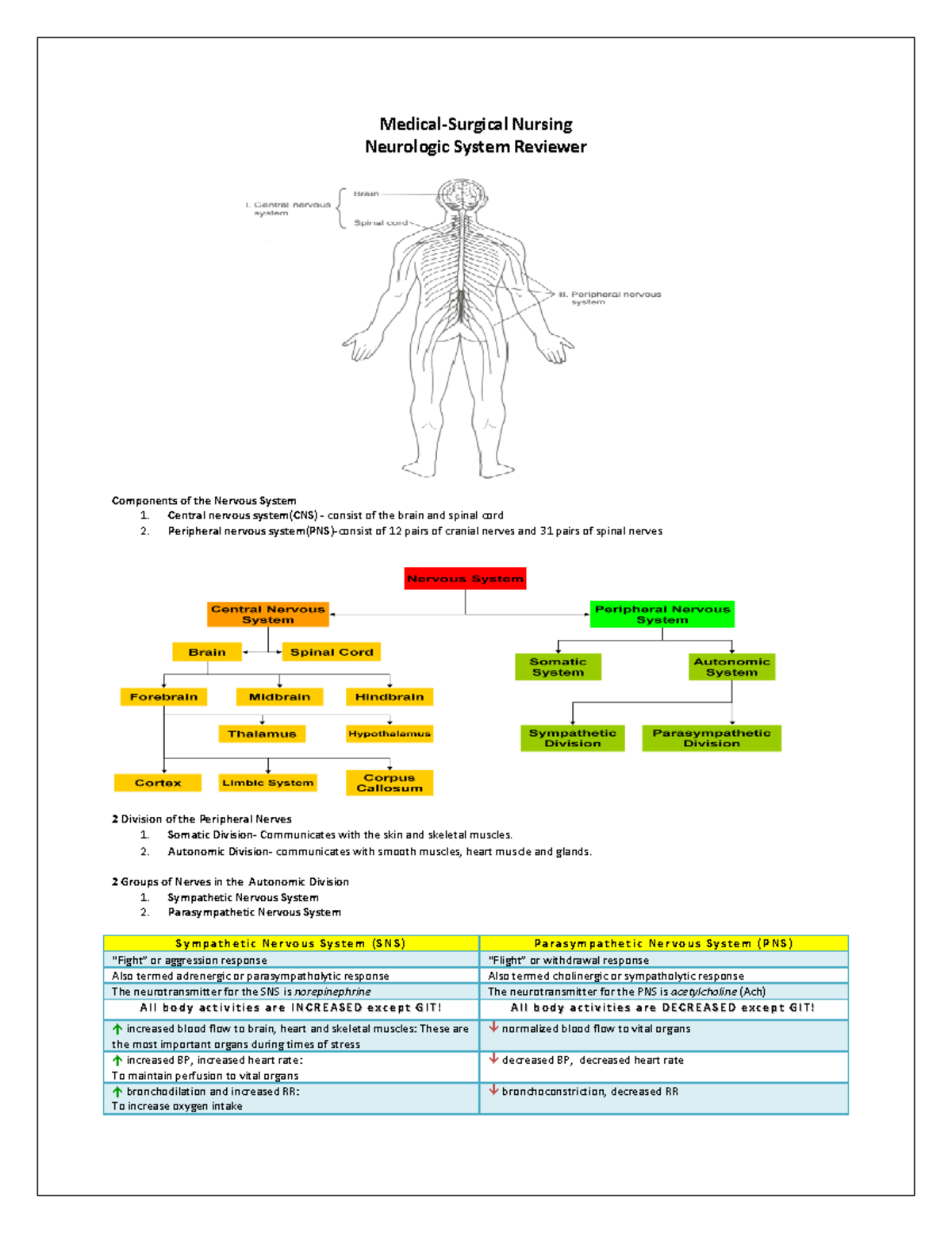 Nursing Neurologic System Review: CNS & PNS Components and Management ...
