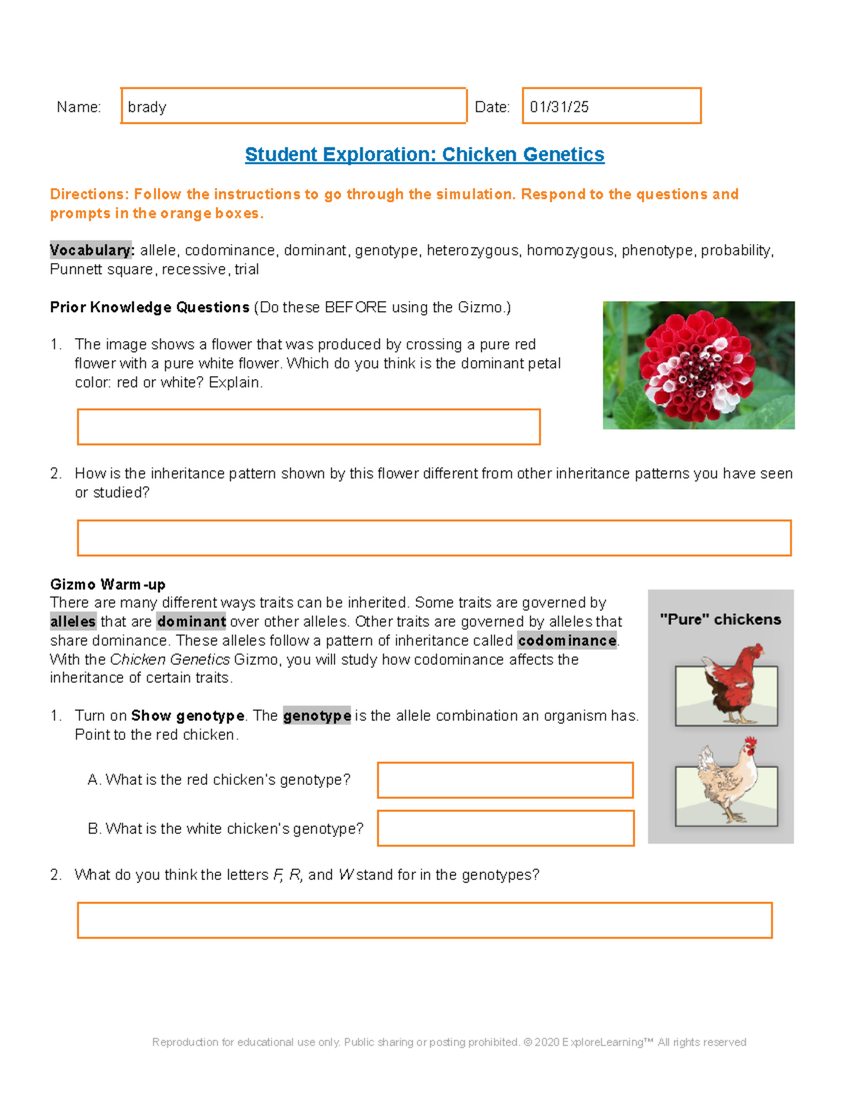 Brady Mcclure - Chicken Genetics Simulation Exploration and Analysis ...