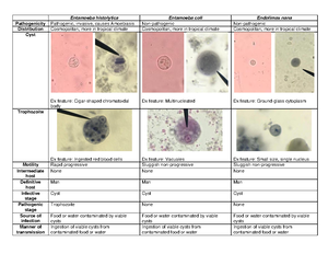 Filaria - Hbhh - PREFINALS — FILARIA PHYLUM NEMATODA It belongs to the ...