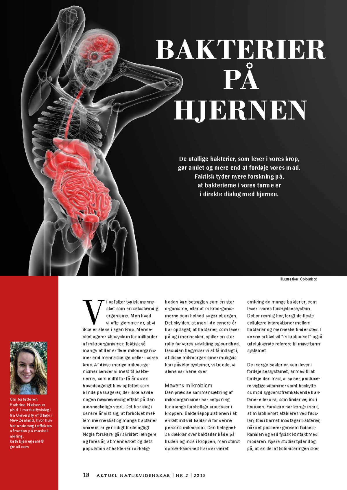 BAKTERIER PÅ HJERNEN: Forbindelsen mellem mikrobiom og hjernefunktion ...