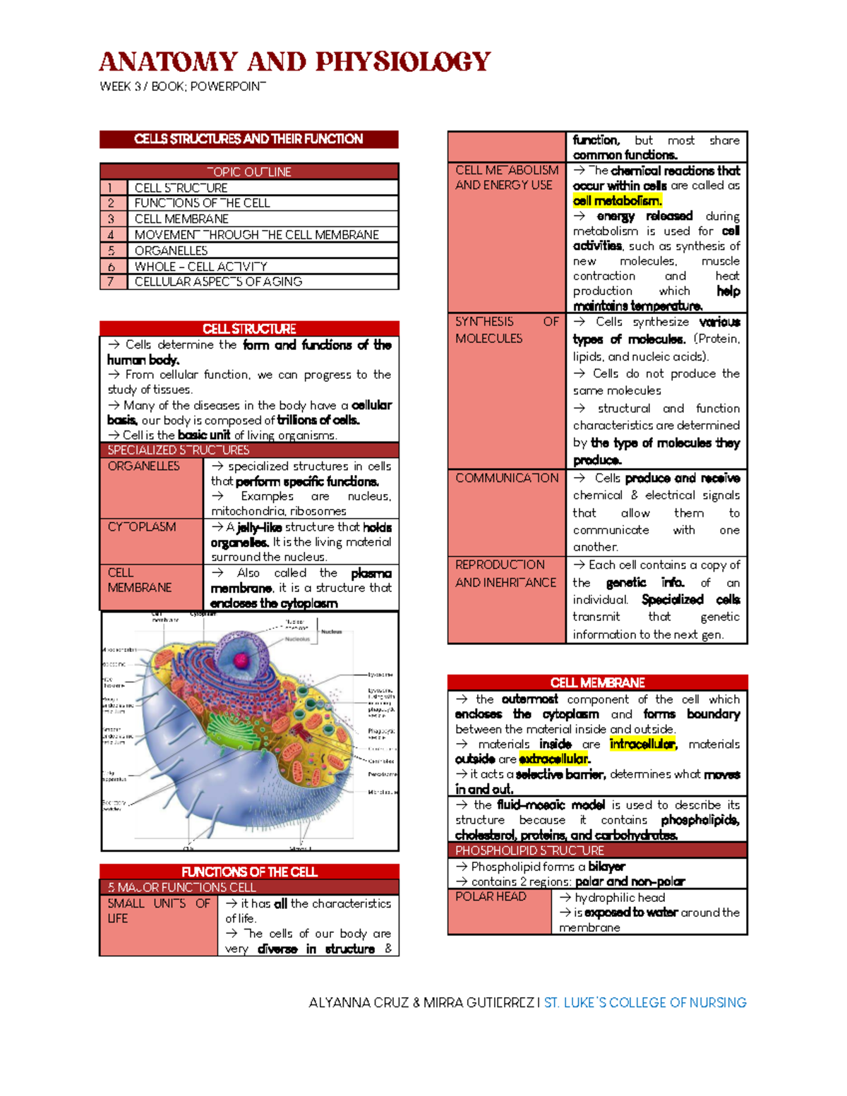 ANATOMY AND PHYSIOLOGY WEEK 3 POWERPOINT: CELL STRUCTURE & FUNCTIONS - Studocu