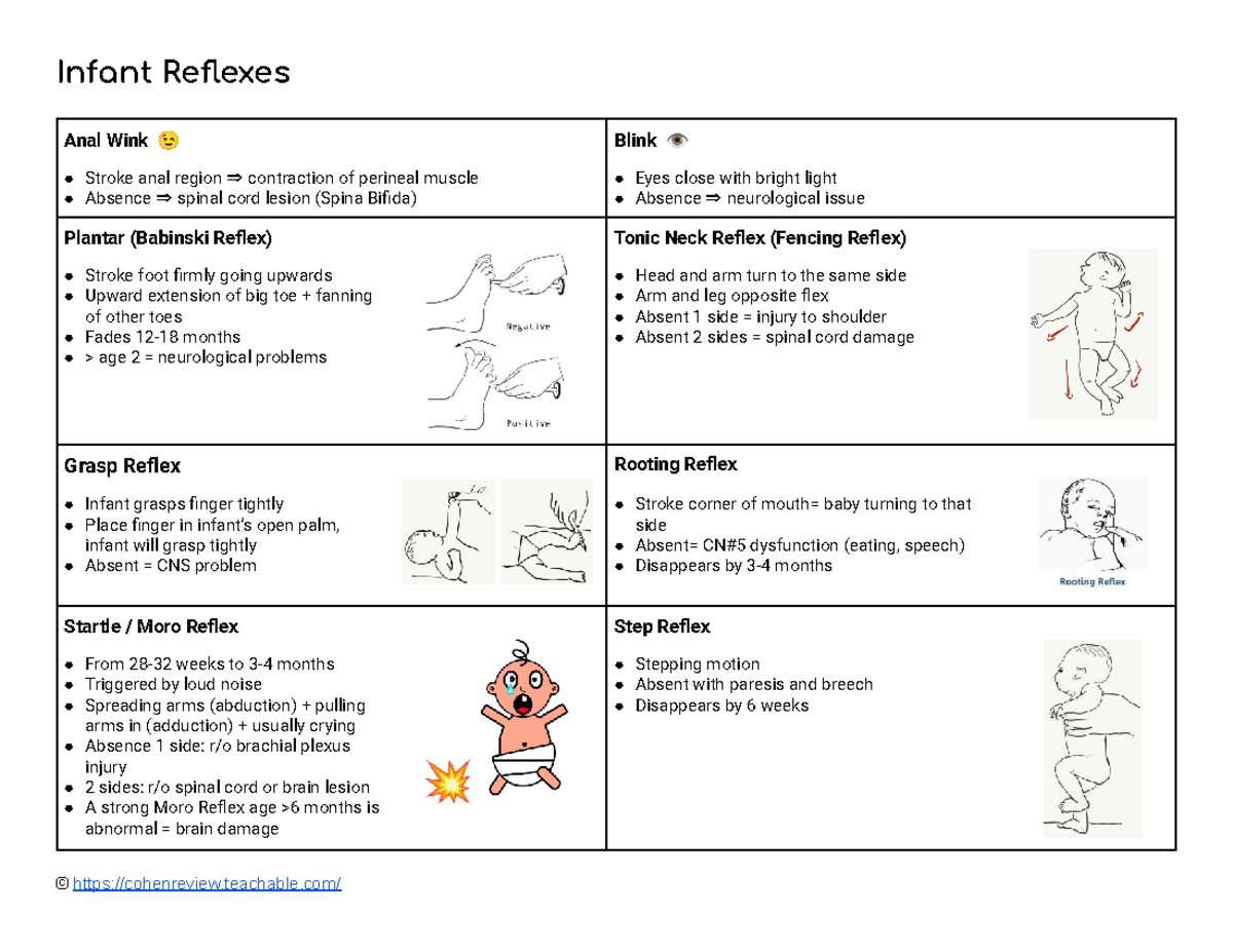 Infant Reflexes Overview: Key Indicators and Abnormalities - Studocu