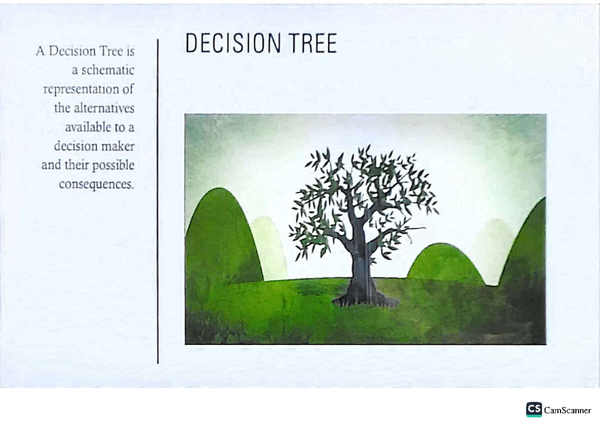 CS Decision Tree Analysis: Understanding Alternatives and Outcomes - Studocu