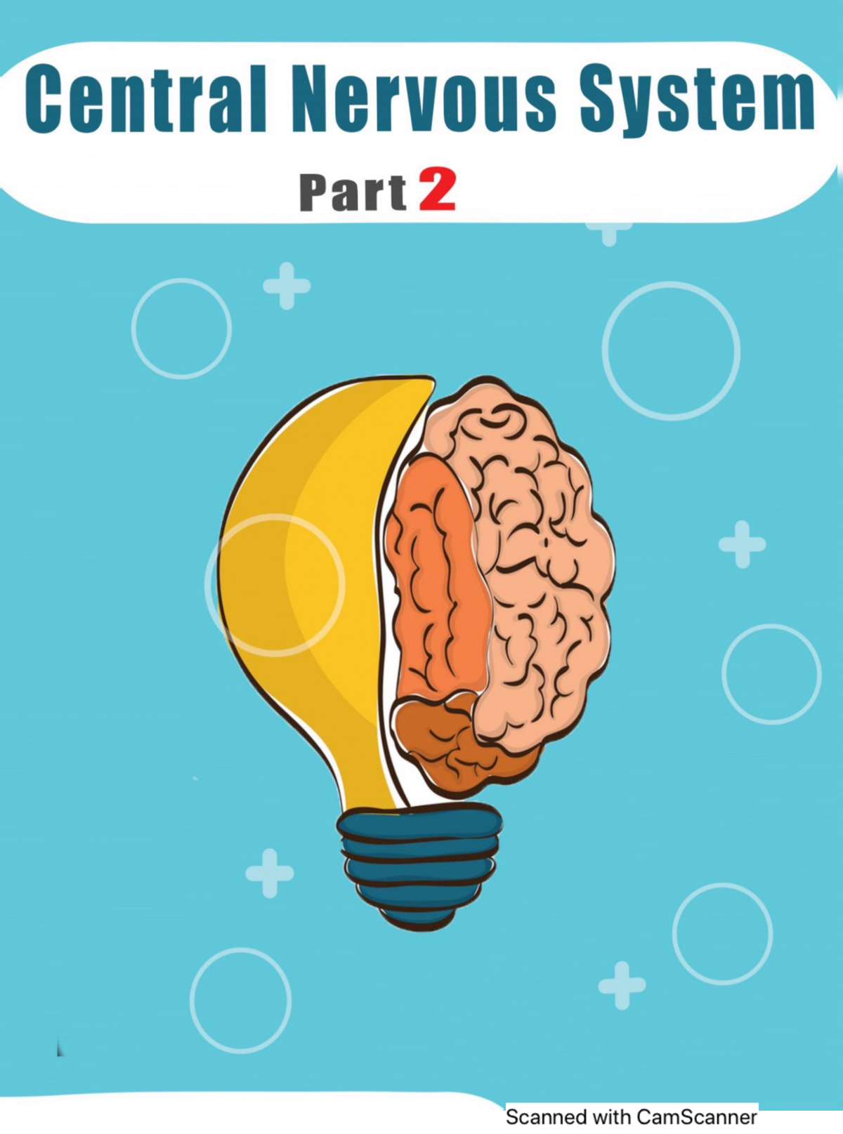 Book2 CNS - CNS - Physiology - Studocu