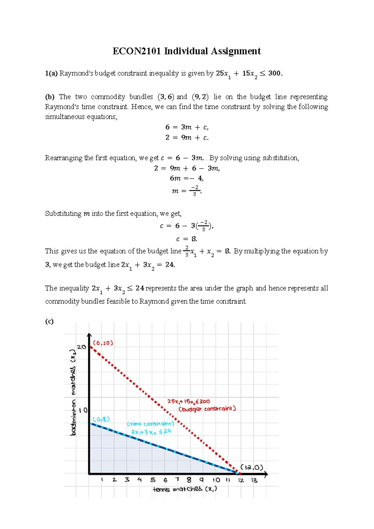 ECON2101 Individual Assignment: Budget Constraints & Utility Analysis ...