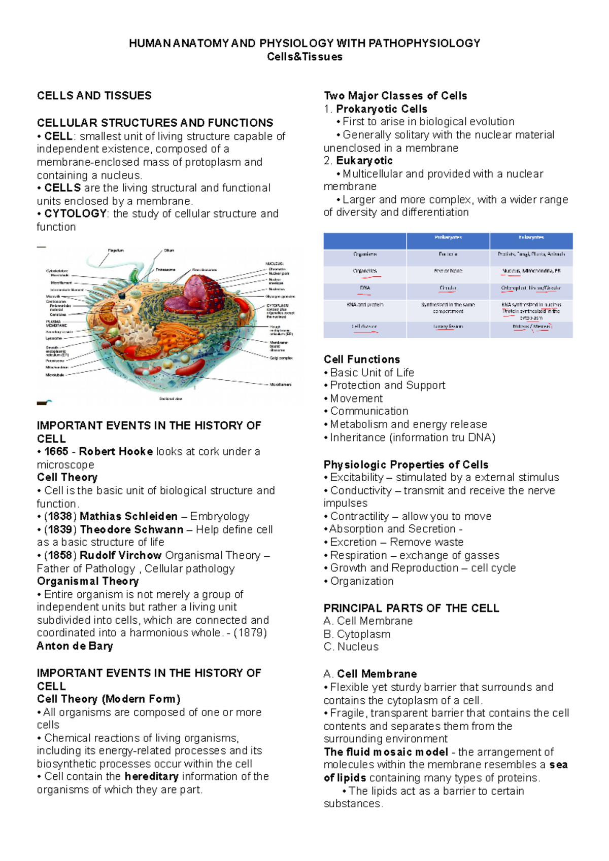 Comprehensive Review of Cells and Tissues - ANAT 101 - Studocu