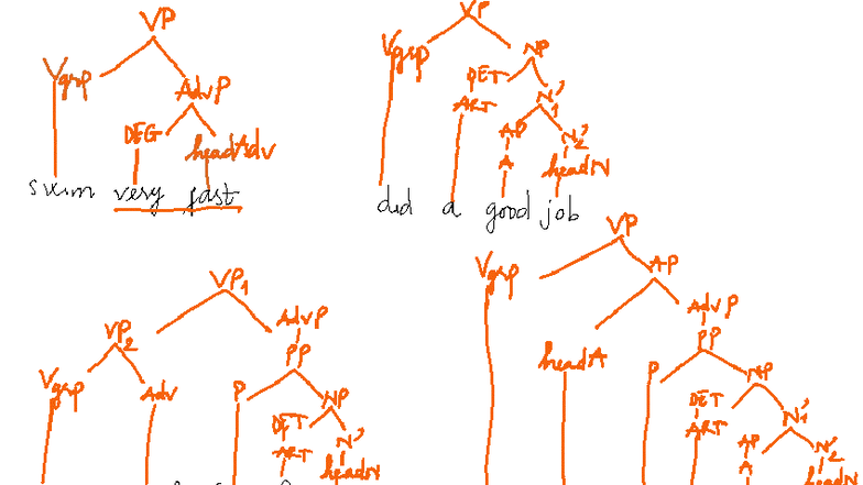 Tree Diagram of Phrases - VP r Yarp Verp NP AdvP Analysis - Studocu