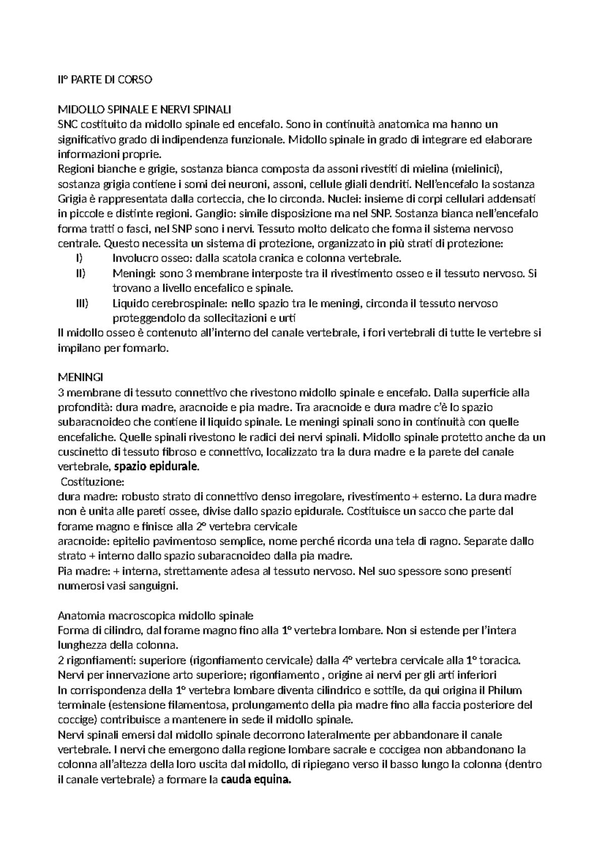 Midollo spinale e nervi - II° PARTE DI CORSO MIDOLLO SPINALE E NERVI ...