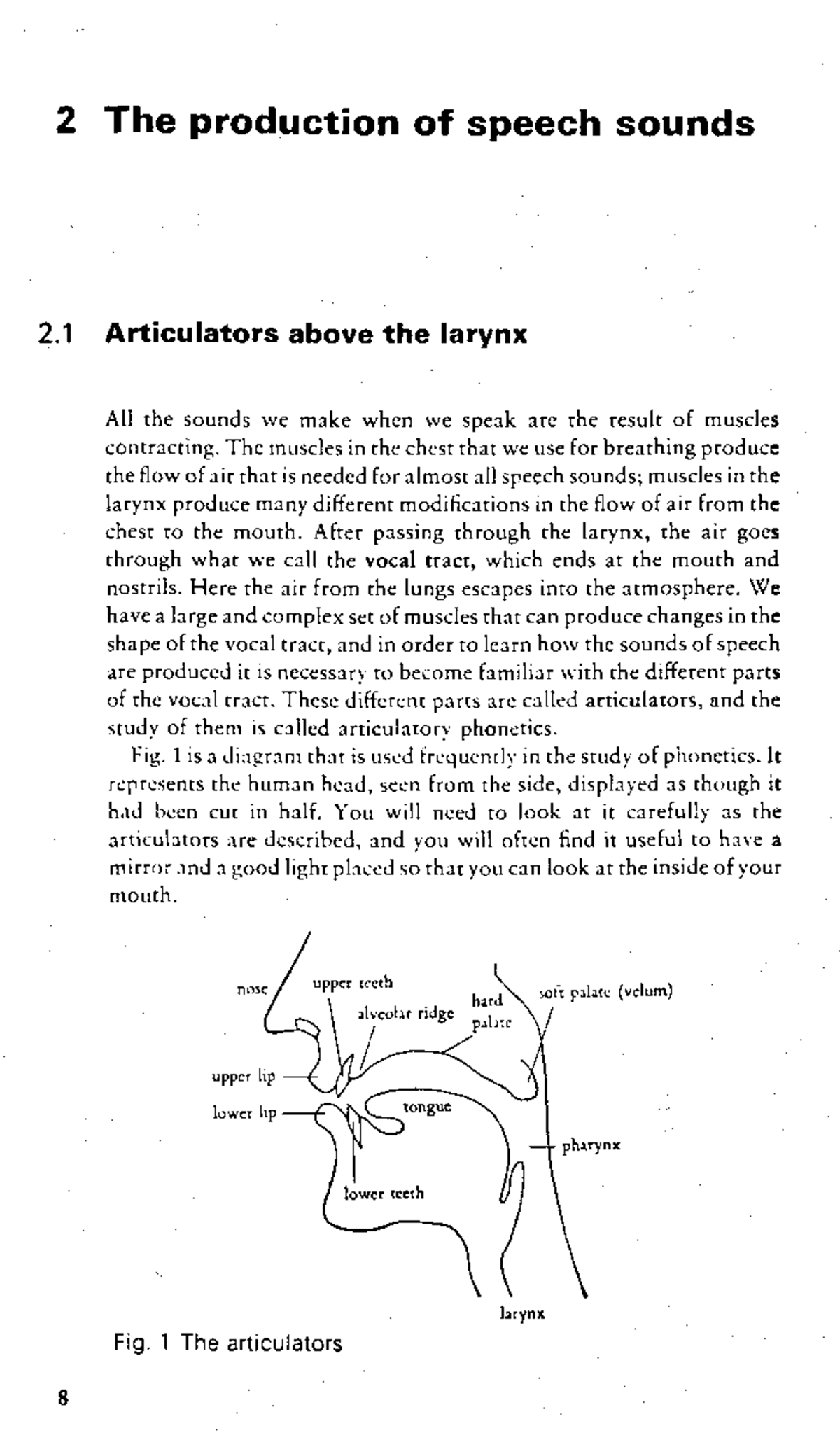 Articulatory Phonetics: Understanding Speech Sound Production - Studocu