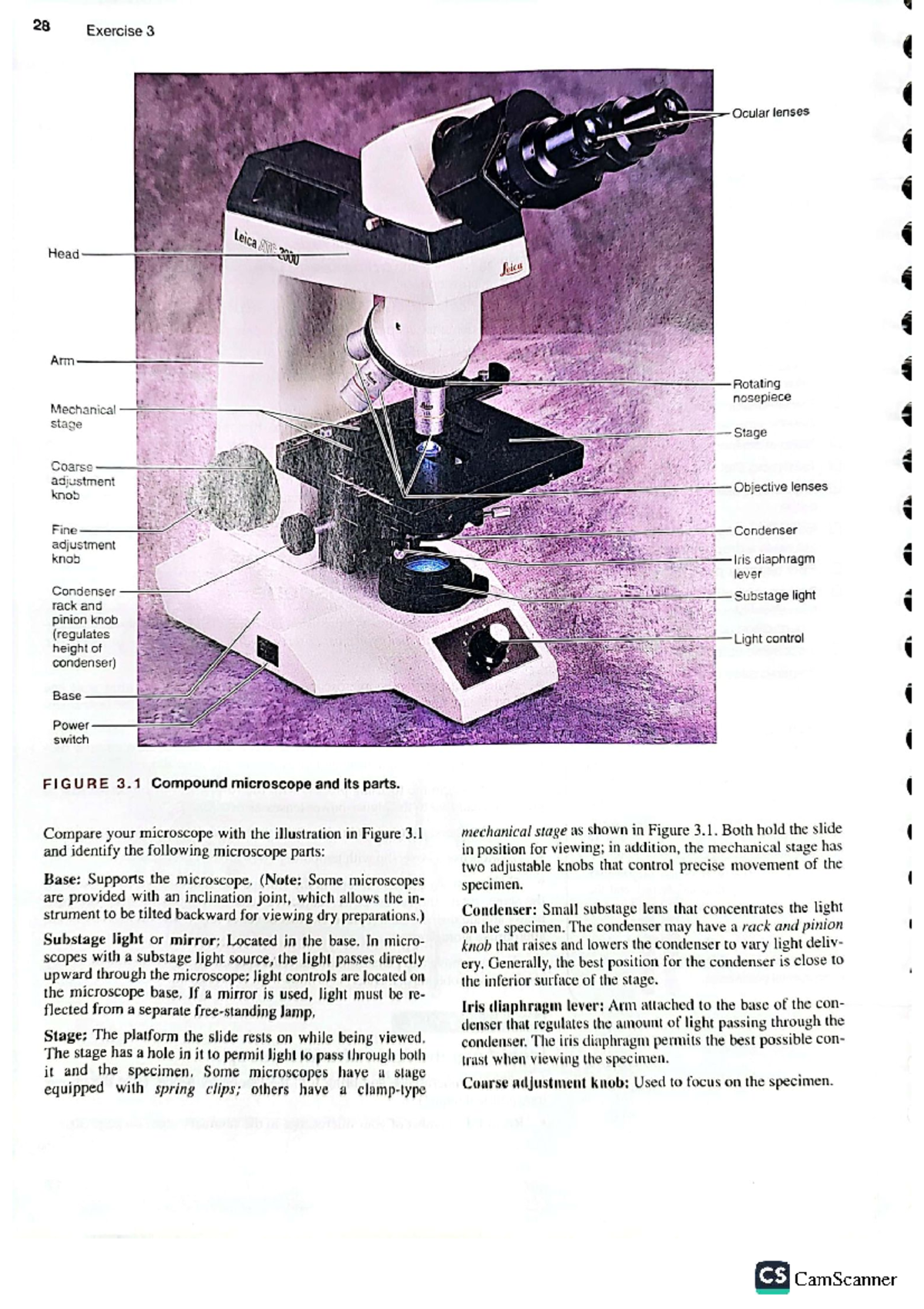 28 Exercise 3: Understanding Microscope Parts and Functions - Studocu