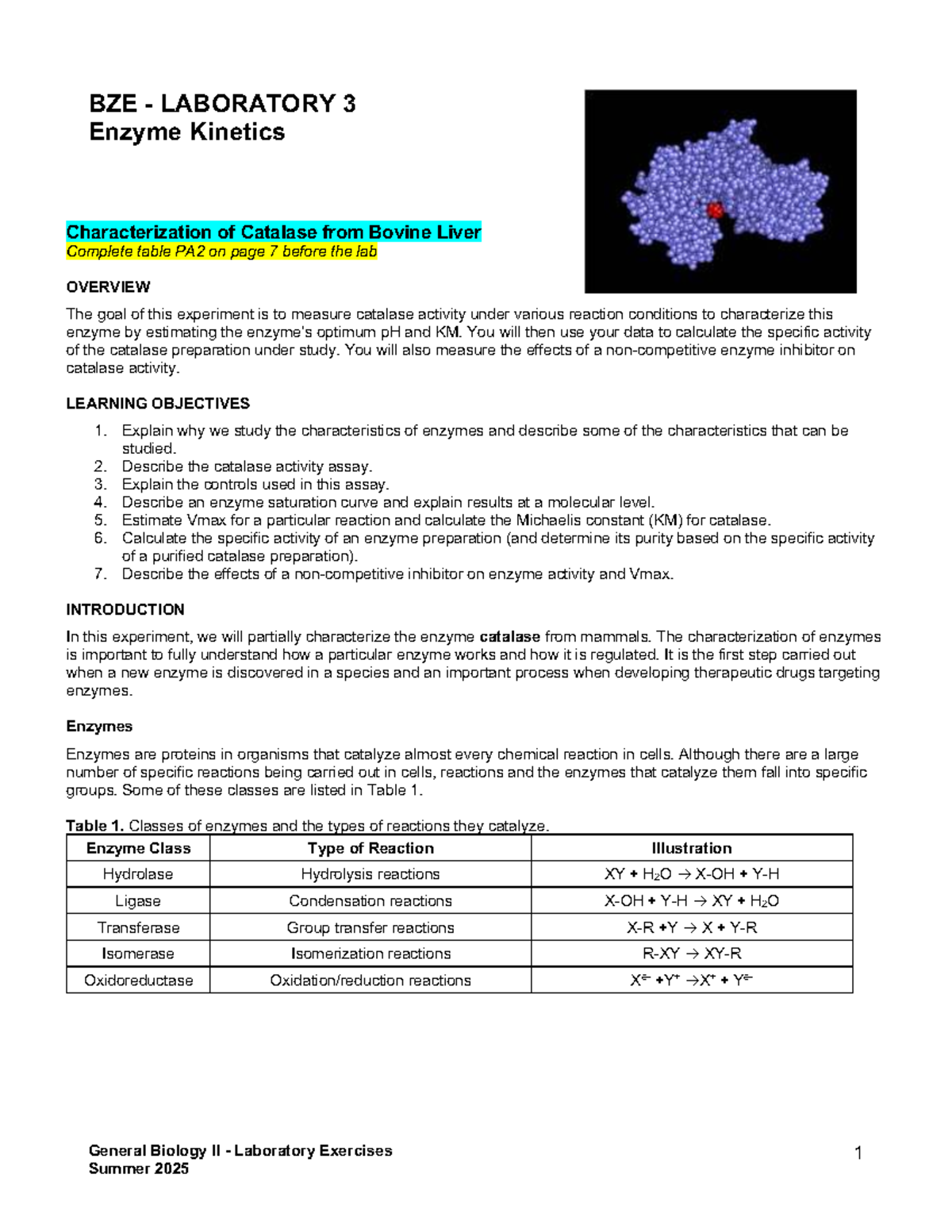Lab 3: Enzyme Kinetics of Bovine Liver Catalase - Activity ...