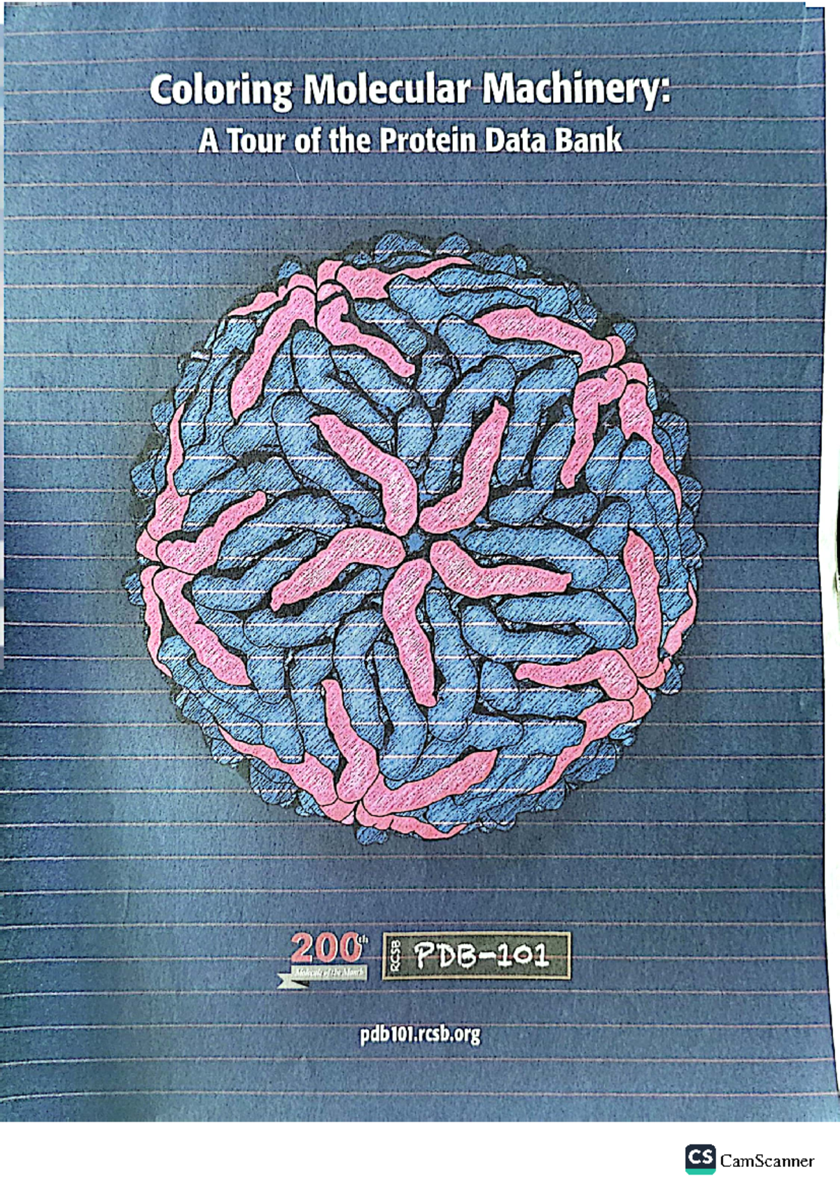 Coloring Molecular Machinery: Insights from the Protein Data Bank CS ...