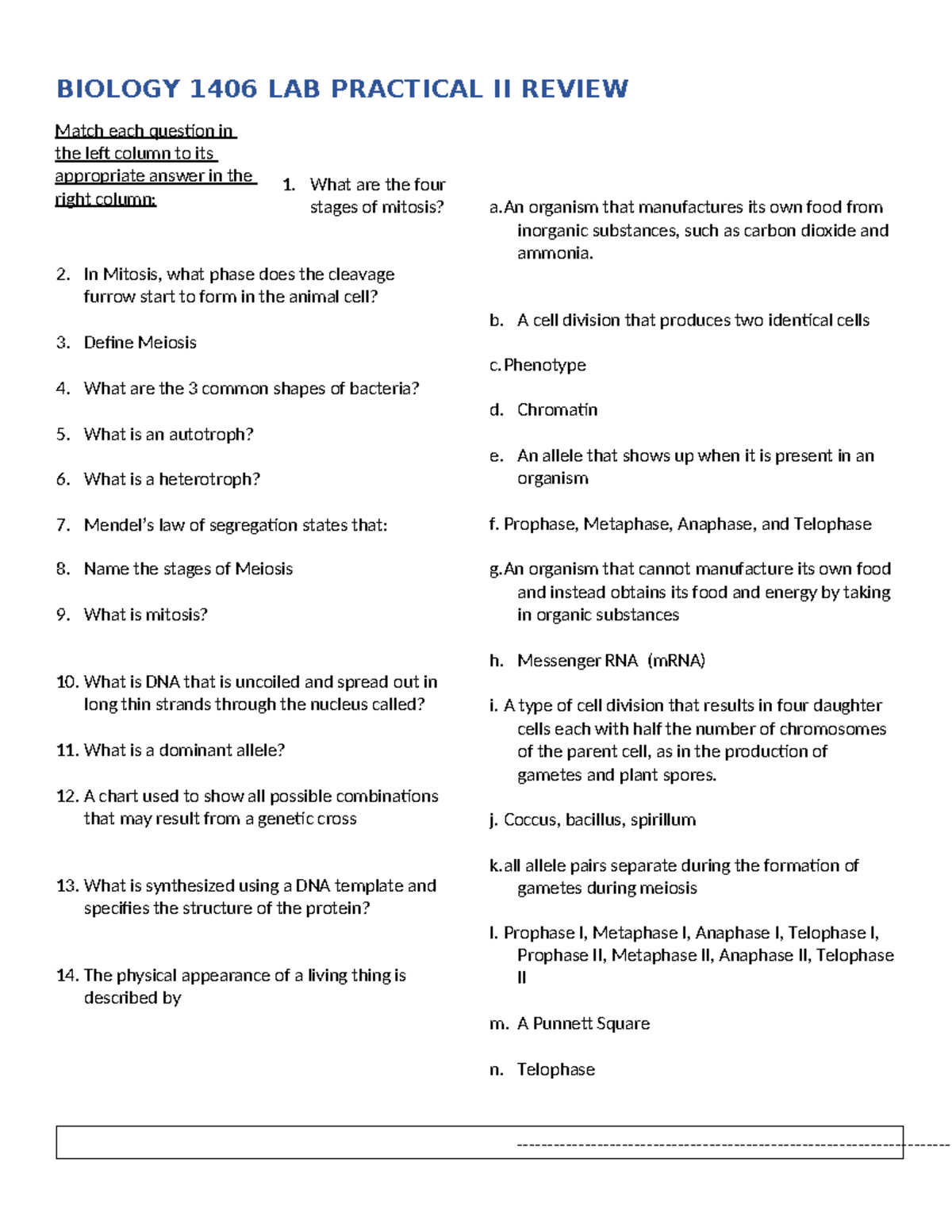 BIOLOGY 1406 LAB PRACTICAL II REVIEW: Mitosis, Meiosis & Photosynthesis ...