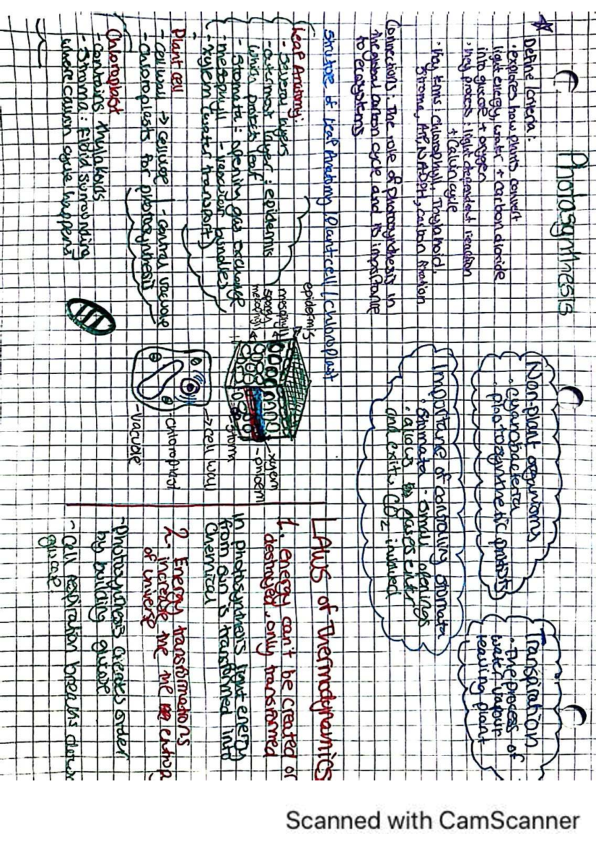 Biology notes - Diagram - Scanned with 1 y M . m e 6 e . . . . V Cagoon ...
