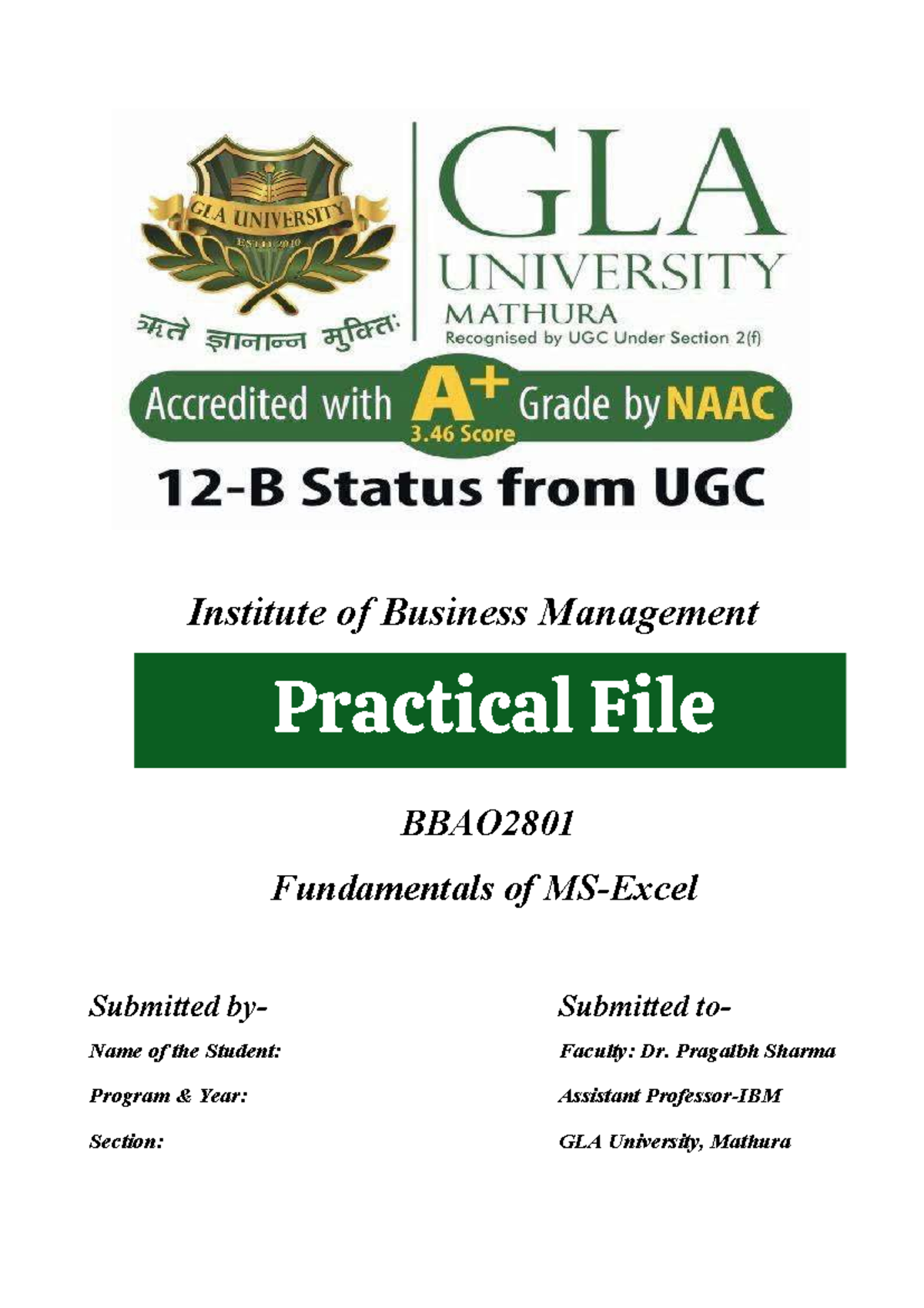 BBAO2801 MS Excel Practical File: Fundamentals and Techniques - Studocu
