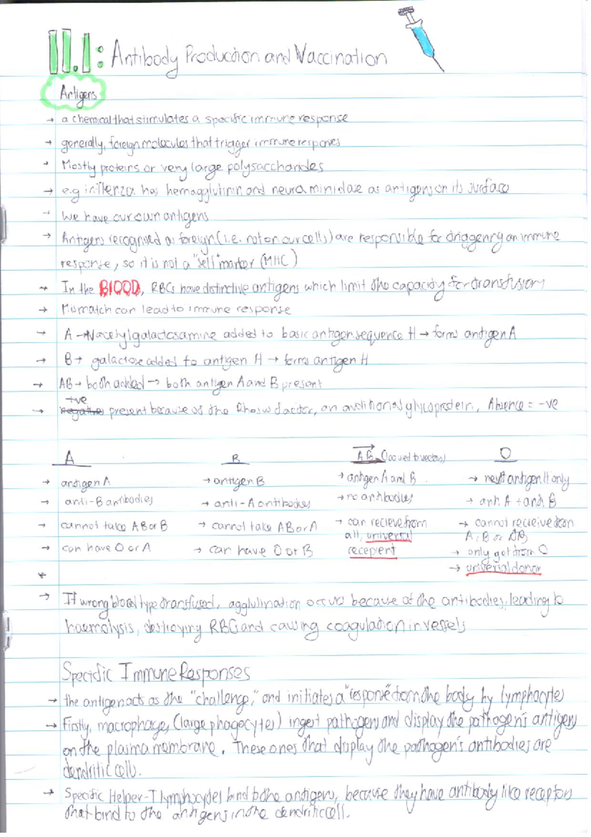 IB Biology 11: Comprehensive Review of Animal Physiology Concepts - Studocu