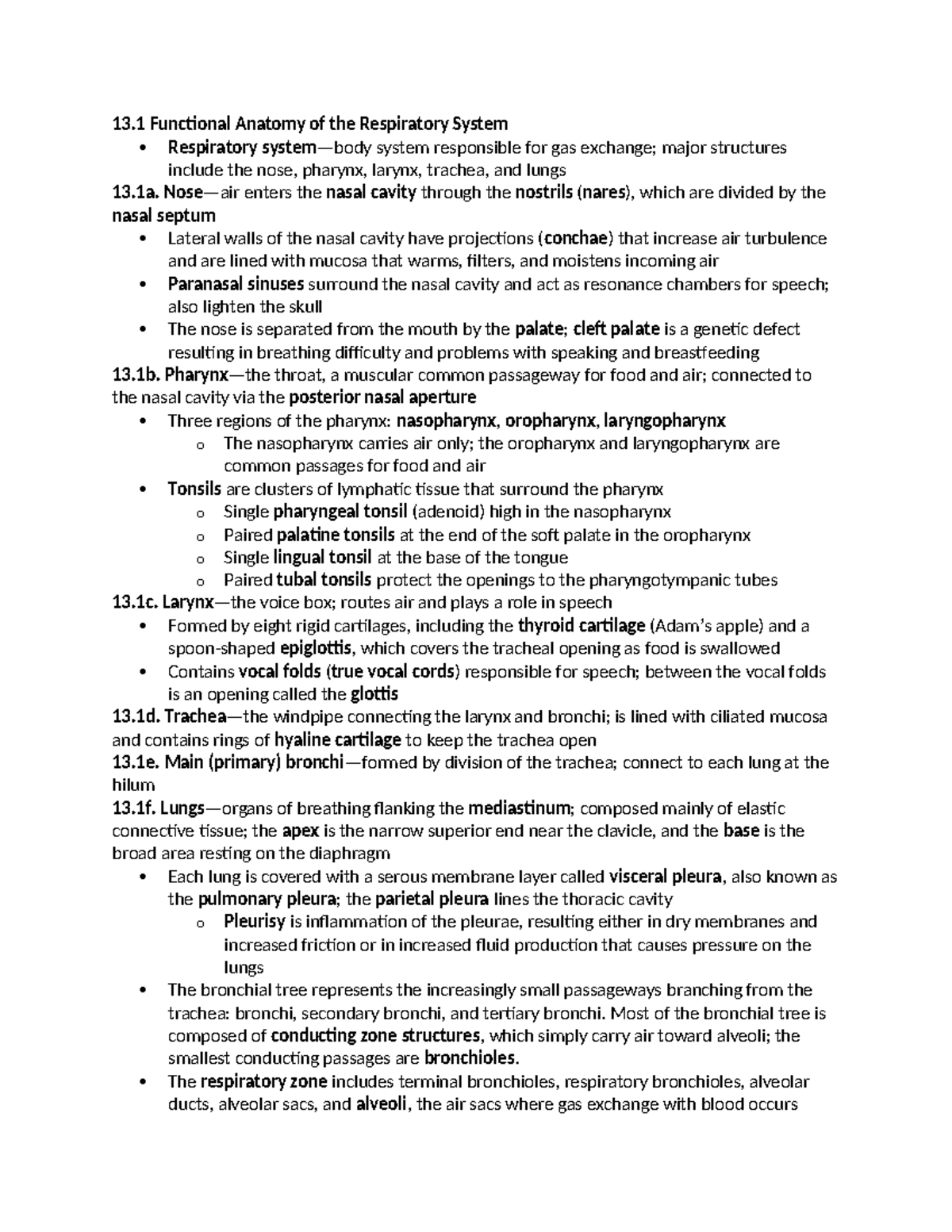 Chapter 13 - Comprehensive Notes on Respiratory System Physiology and ...