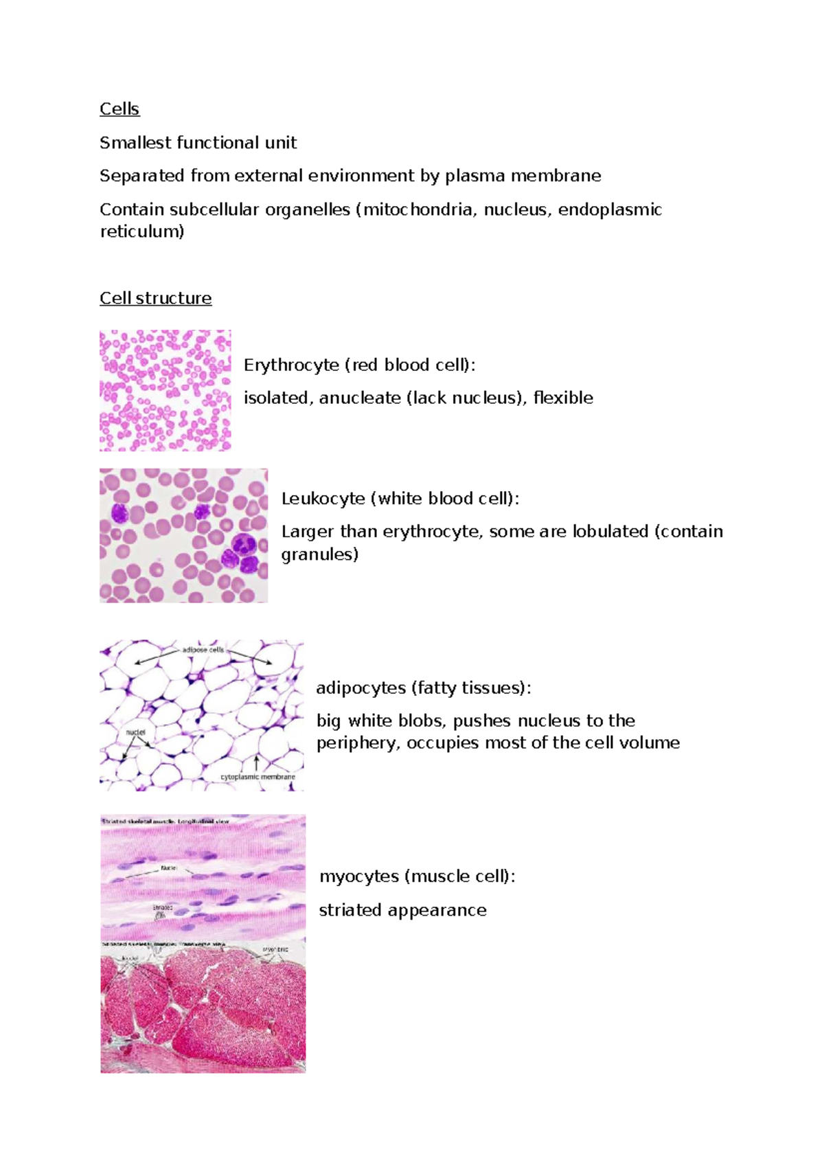 Introduction to Histology: Cell Structure and Function (BIO101) - Studocu