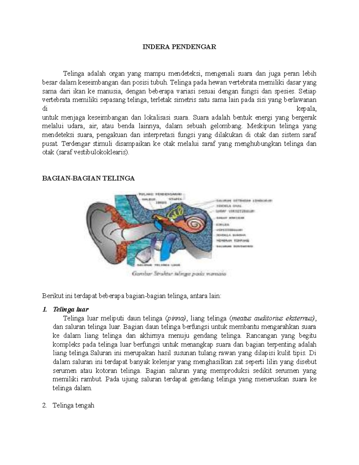 Indera Pendengar - INDERA PENDENGAR Telinga adalah organ yang mampu ...