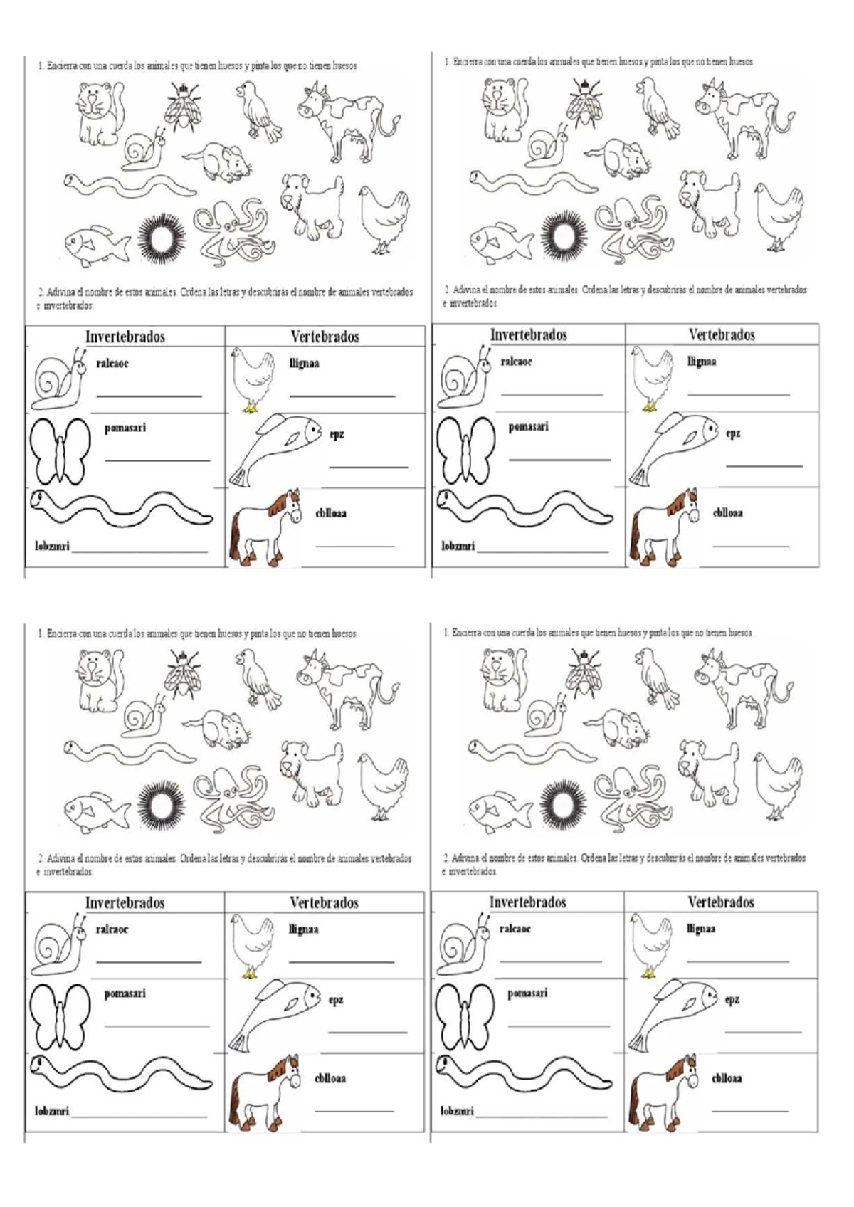 Actividades sobre Vertebrados e Invertebrados - Studocu
