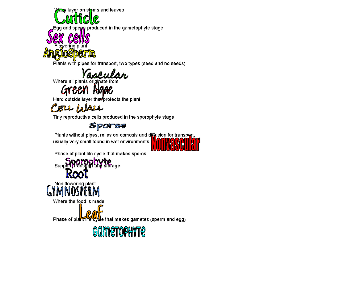 Introduction to plants Drag-N-Drop Vocabulary - Waxy layer on stems and ...