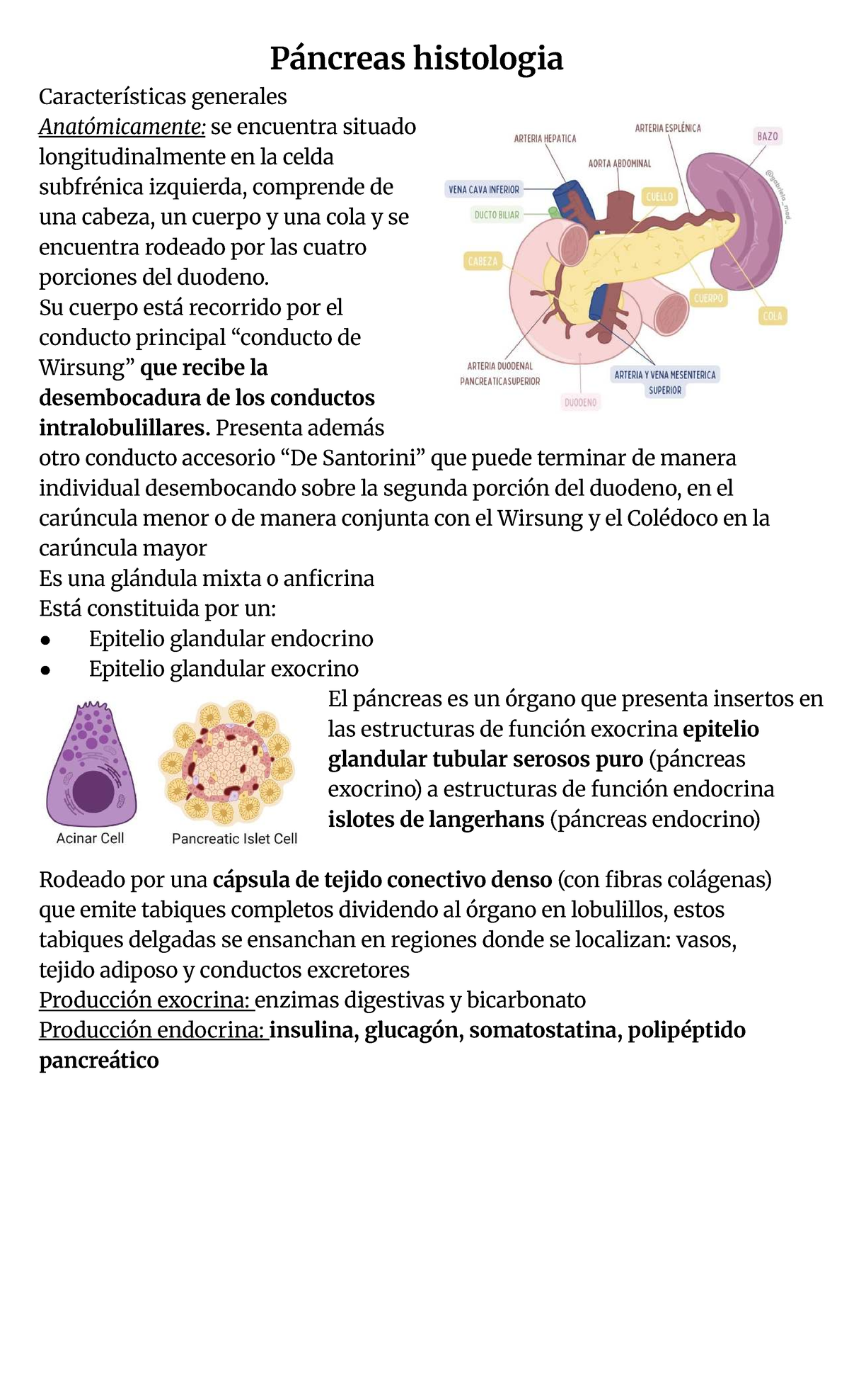 Histología del Páncreas: Características y Funciones (BIO101) - Studocu