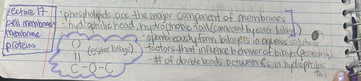 Document Review: Suggestions for Academic Improvement and Progress ...