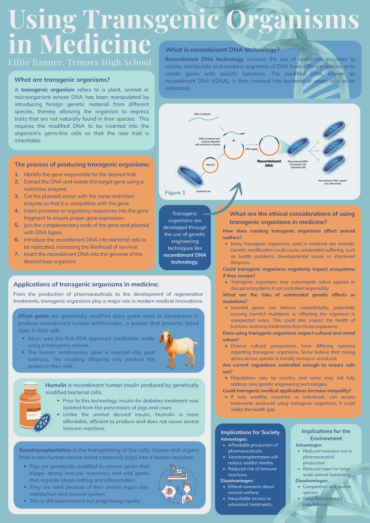 Using Transgenic Organisms in Medicine - Biology AT2 Study Guide - Studocu