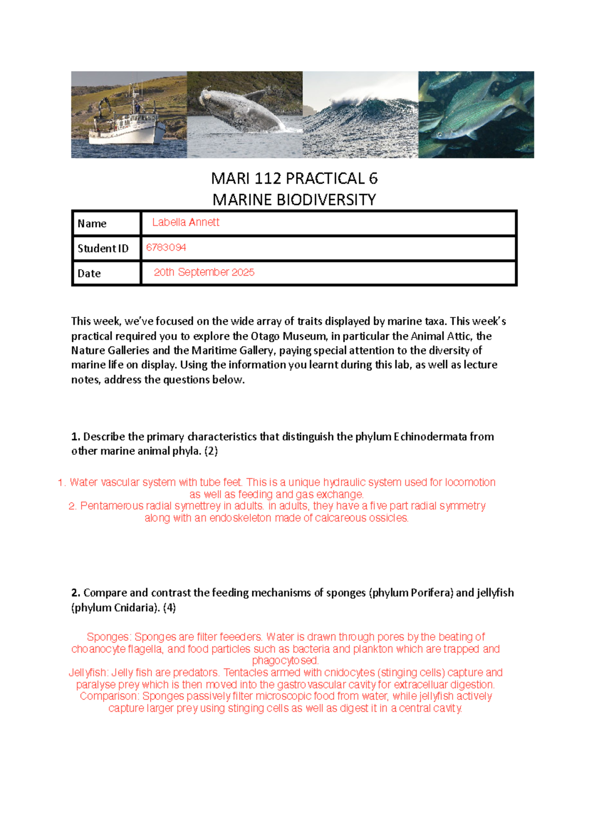 MARI 112 Practical 6: Exploring Marine Biodiversity and Taxonomy - Studocu