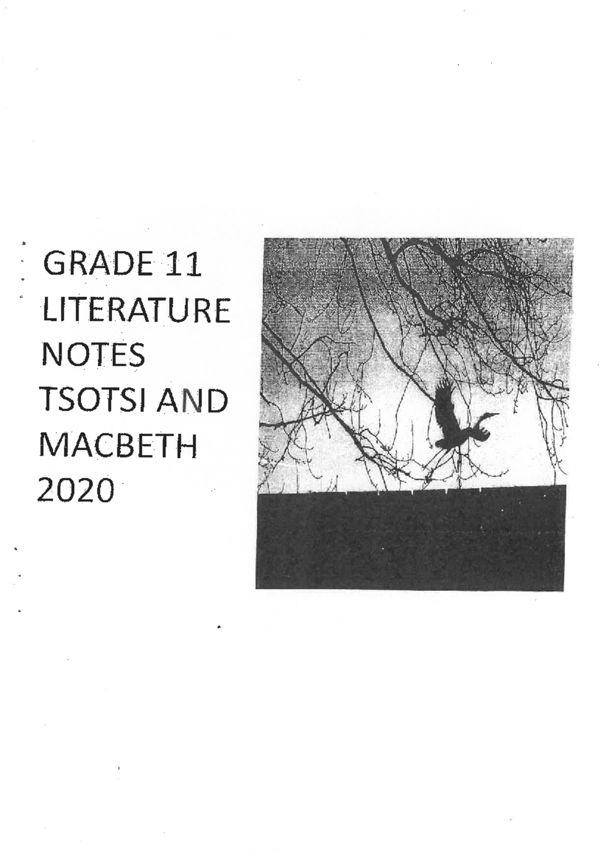 Grade 11 Literature: Tsotsi Study Guide and Analysis - Studocu