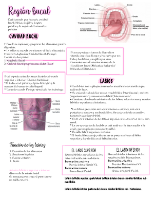 Región labial - v Generalidades Ubicada en la parte media del tercio ...