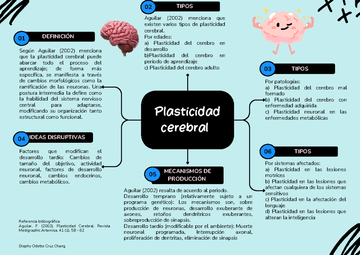 Plasticidad cerebral: tipos y mecanismos según Aguilar (2002) - Studocu