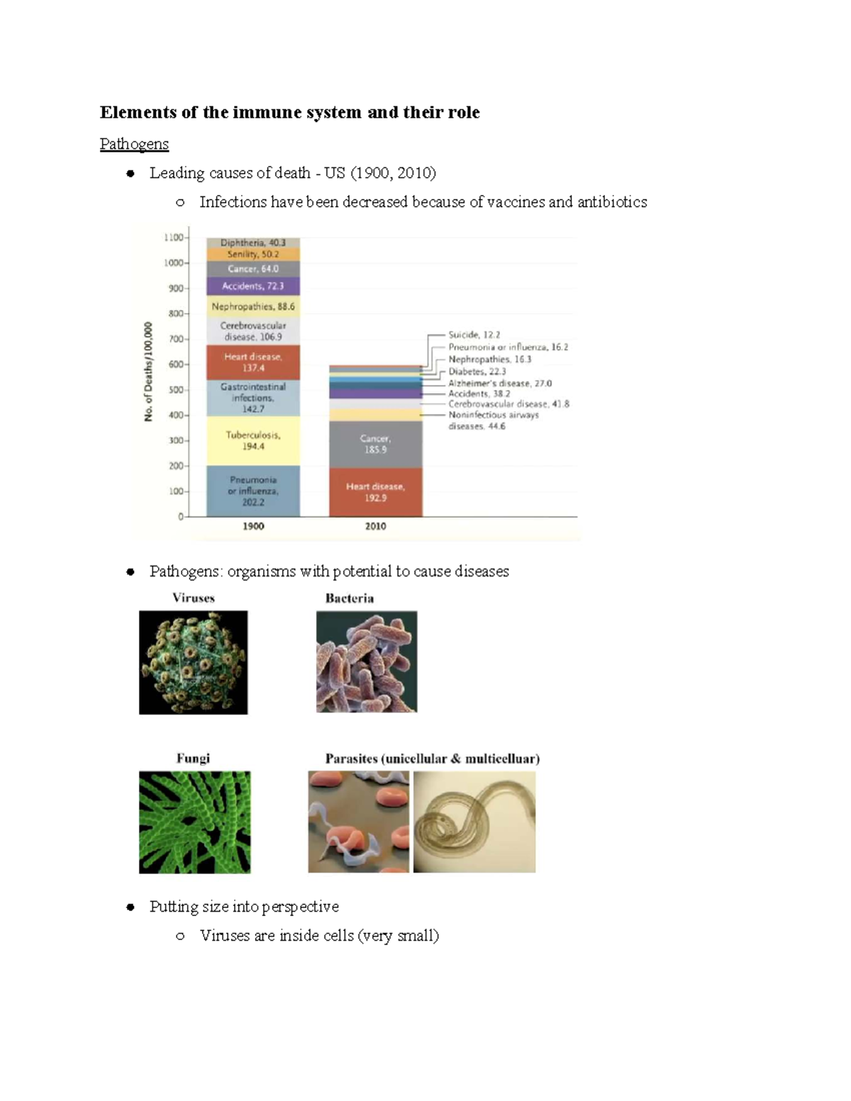 BI385 Midterm I - Immune System Elements & Pathogen Roles - Studocu