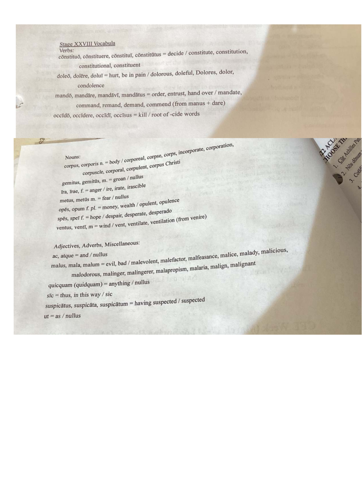 Stage Vocabula: Latin Verbs, Nouns, and Adjectives for ACL 122 - Studocu