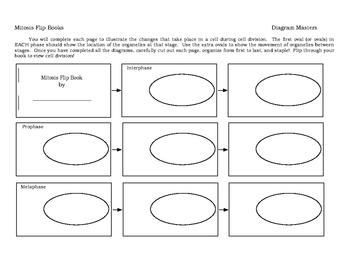 Mitosisbook - flipbook template - Mitosis Flip Books Diagram Masters ...