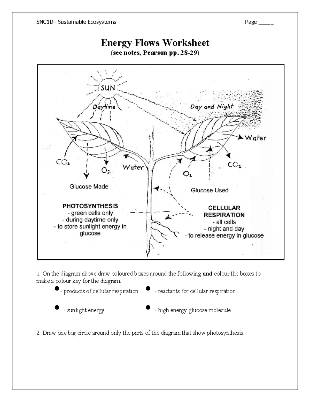 SNC1D Energy Flows Worksheet: Sustainable Ecosystems Notes - Studocu