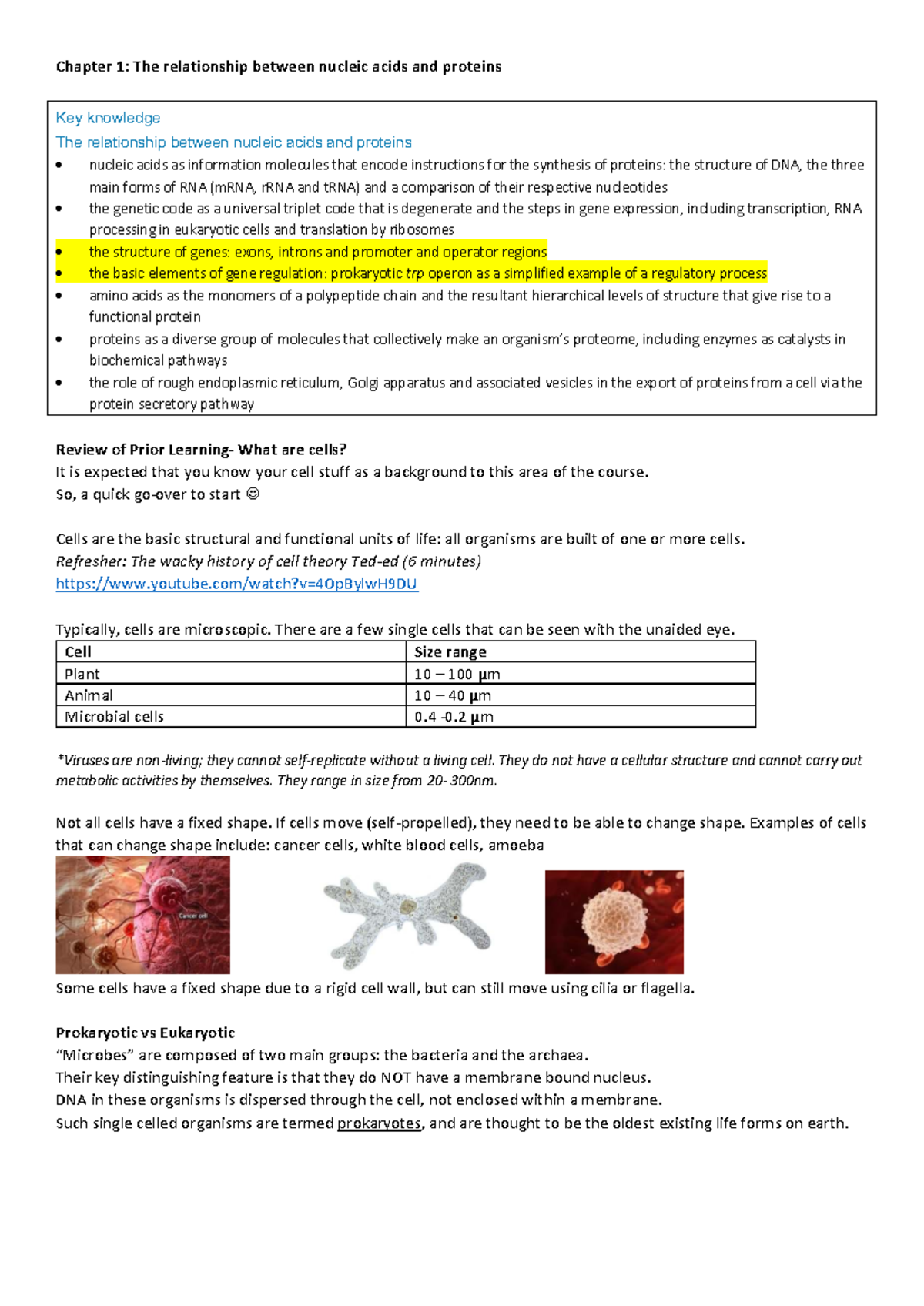 Chapter 1: Nucleic Acids & Proteins - Key Concepts and Gene Expression ...