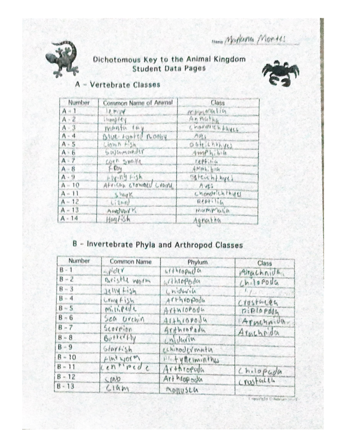 Animal Dichotomous Key Worksheet