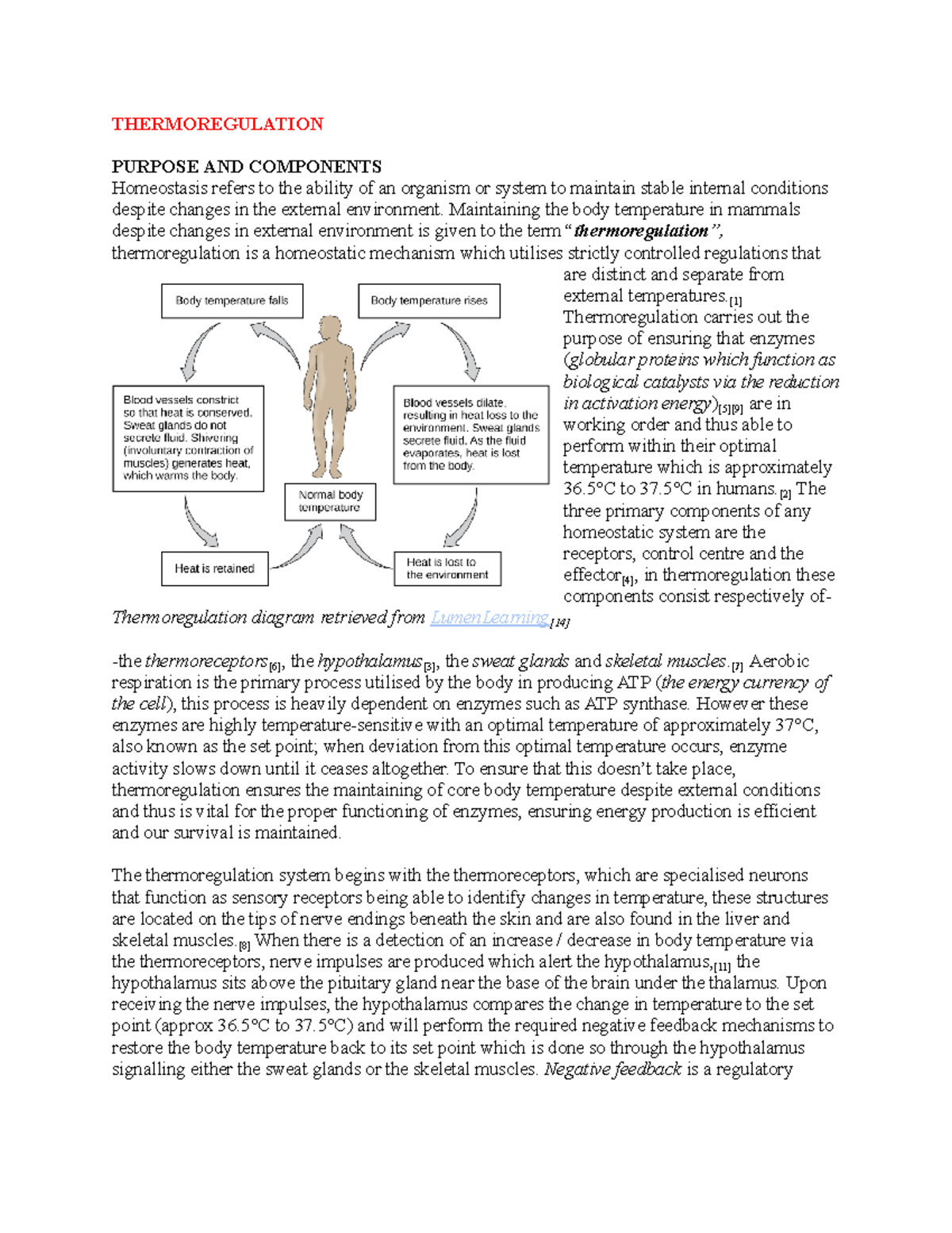 Homeostasis and Thermoregulation: Understanding Body Temperature ...
