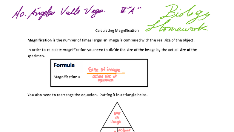Calculating Magnification Homework - Biology 8 Solags - Studocu
