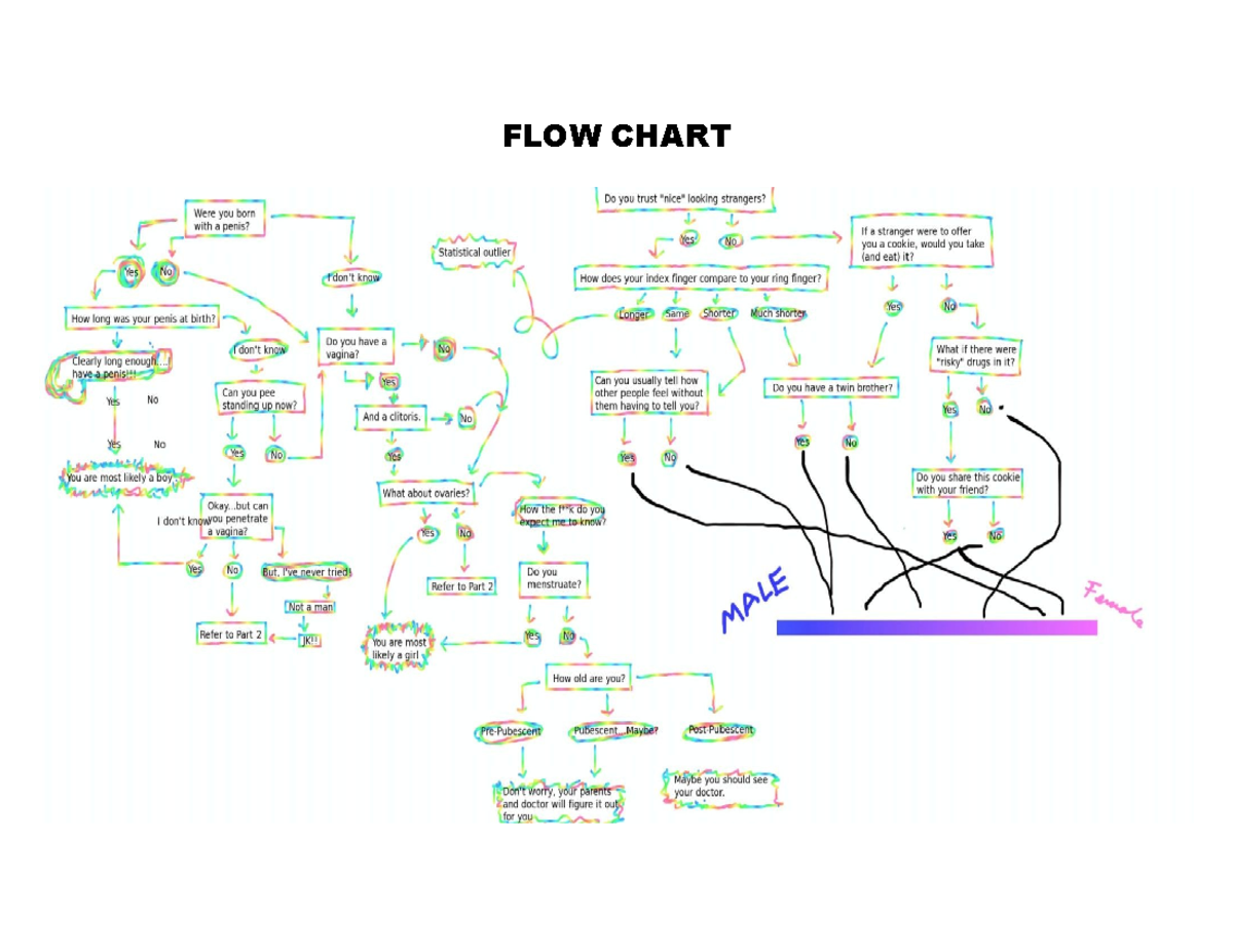 FLOW Chart - FLOW CHART Do you trust looking strangers? Were you born ...
