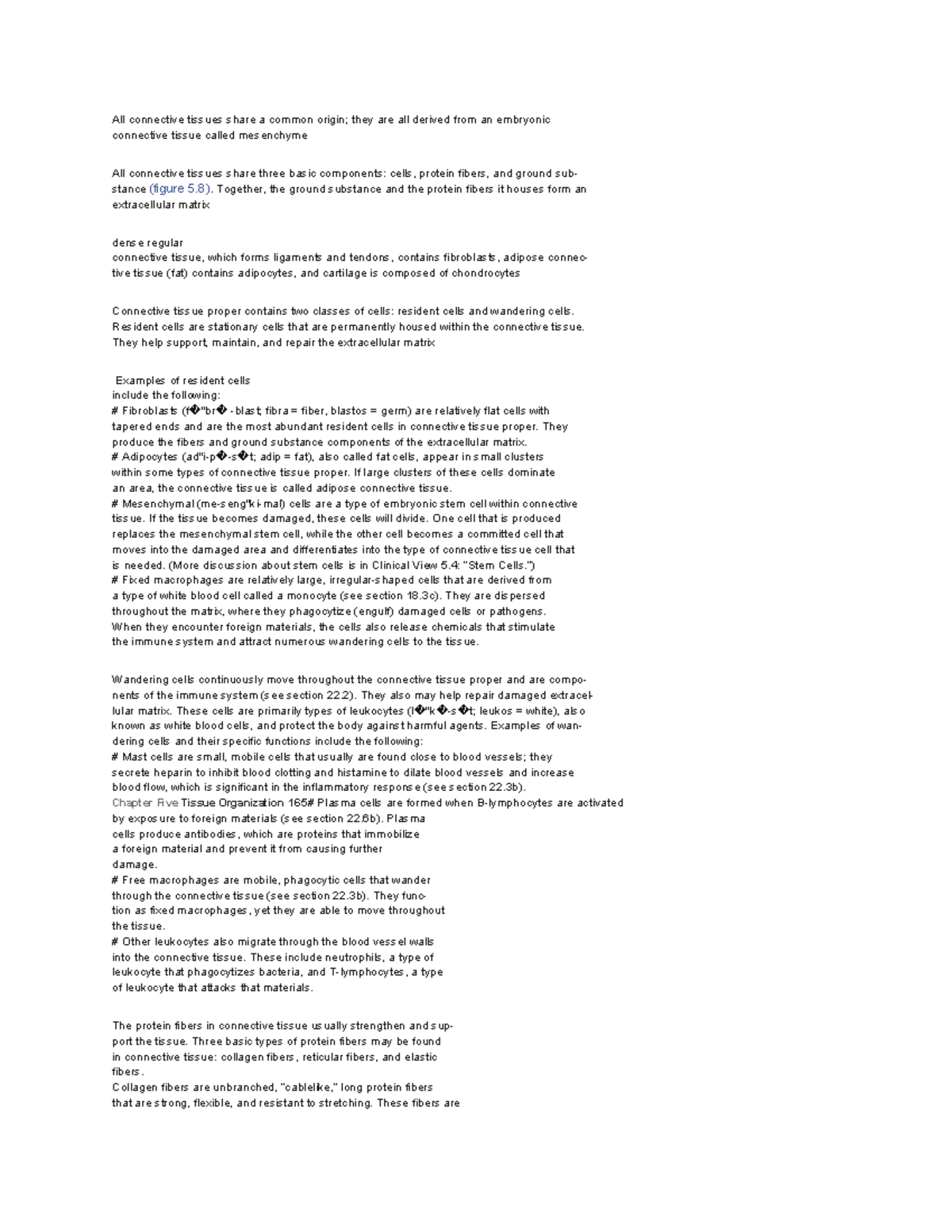 Connective Tissue Types and Functions: A Detailed Overview (BIO 101 ...