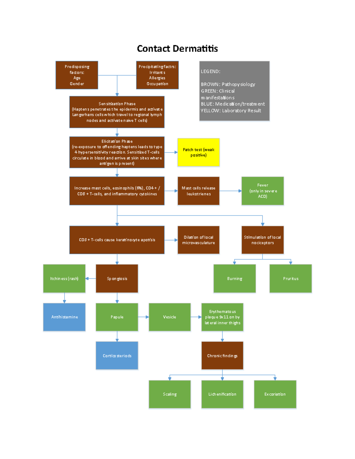 514086394 Contact Dermatitis Concept Map: Factors & Pathophysiology ...