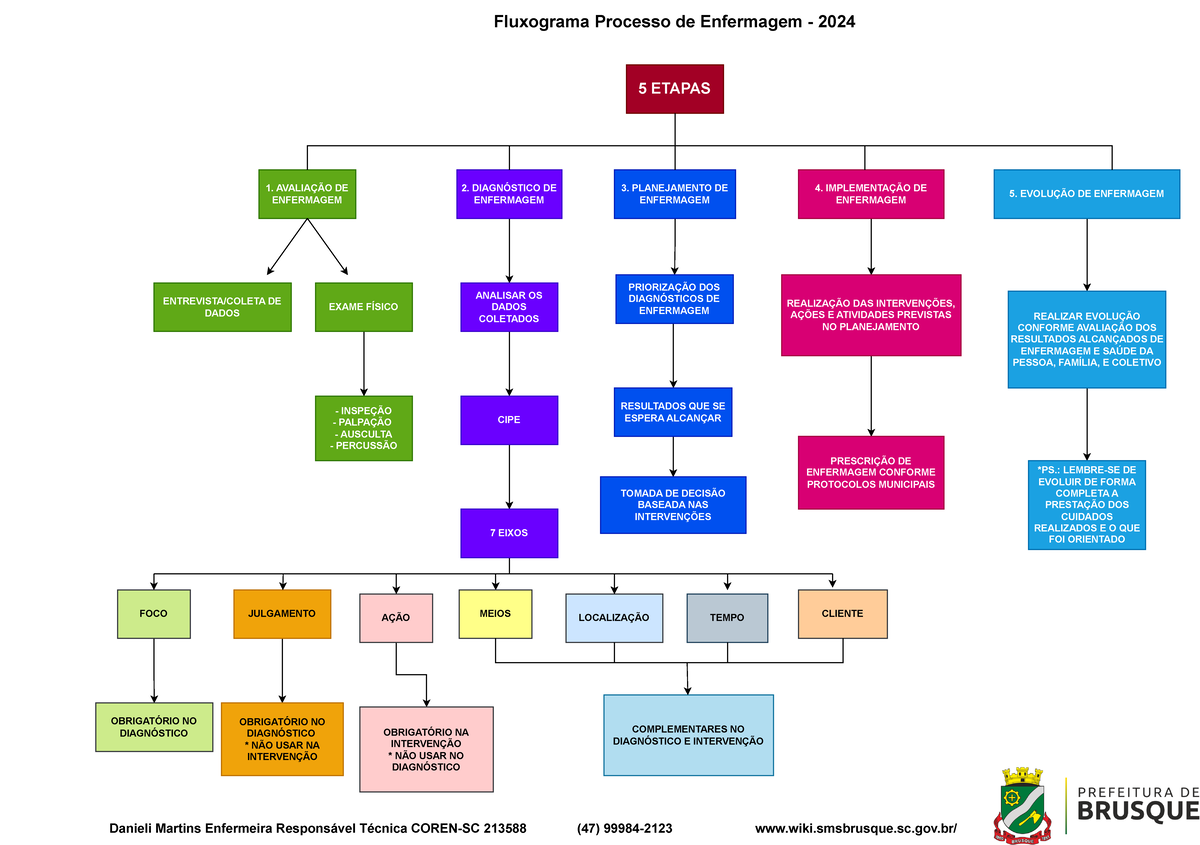 Fluxograma do Processo de Enfermagem - 2024 - Studocu
