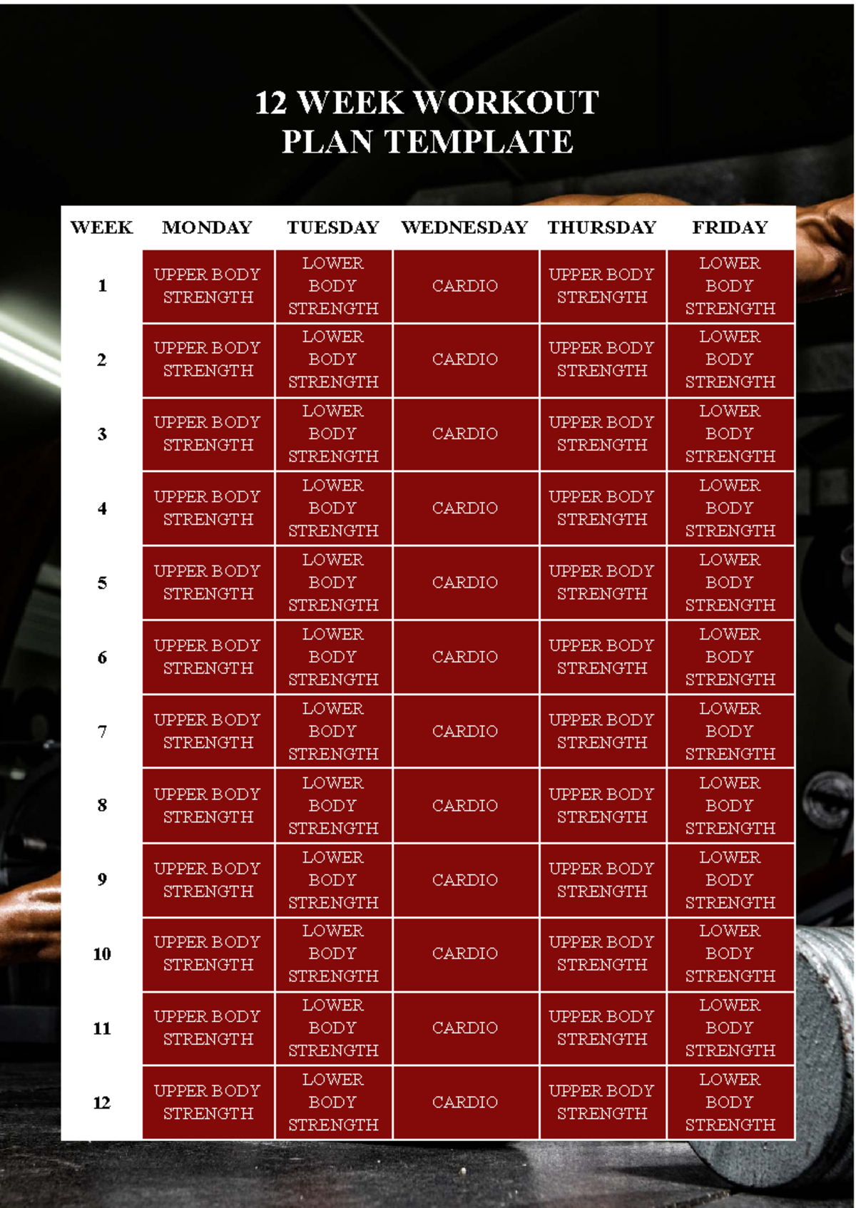 12 WEEK WORKOUT PLAN TEMPLATE: STRENGTH & CARDIO SCHEDULE - Studocu