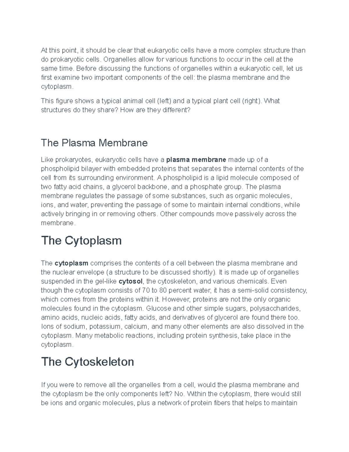 Biology 101: Understanding Cell Structure and Organelles Functions - At ...